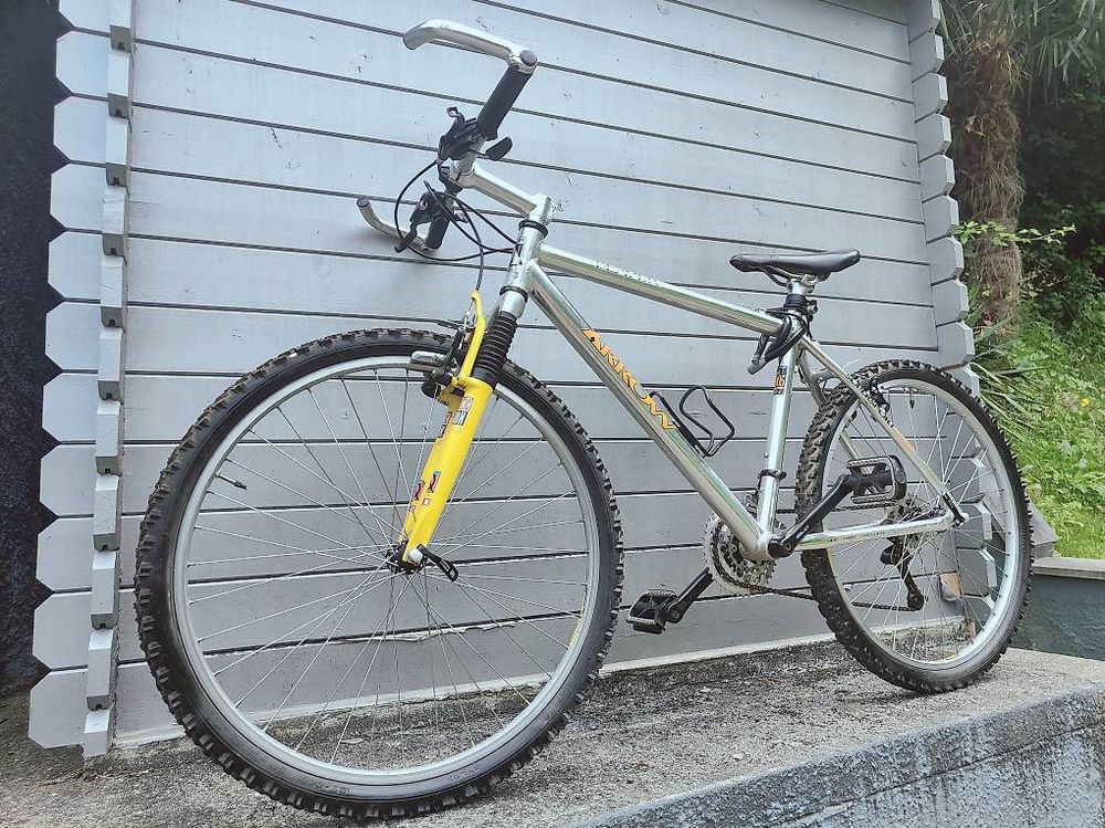Mountainbike Villiger Arrow 26" (Usato) a Pugerna per CHF 80 – solo ...