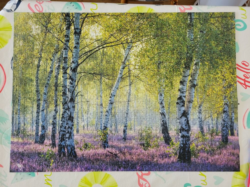 Ravensburger Puzzle Nature. 1000 Teile. Birkenwald | Kaufen auf Ricardo