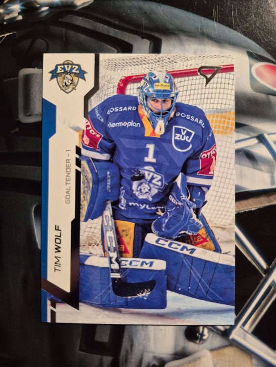 Tim Wolf EV Zug 2024/25 Sportzoo (Gebraucht) in Treiten für CHF 1 – mit ...