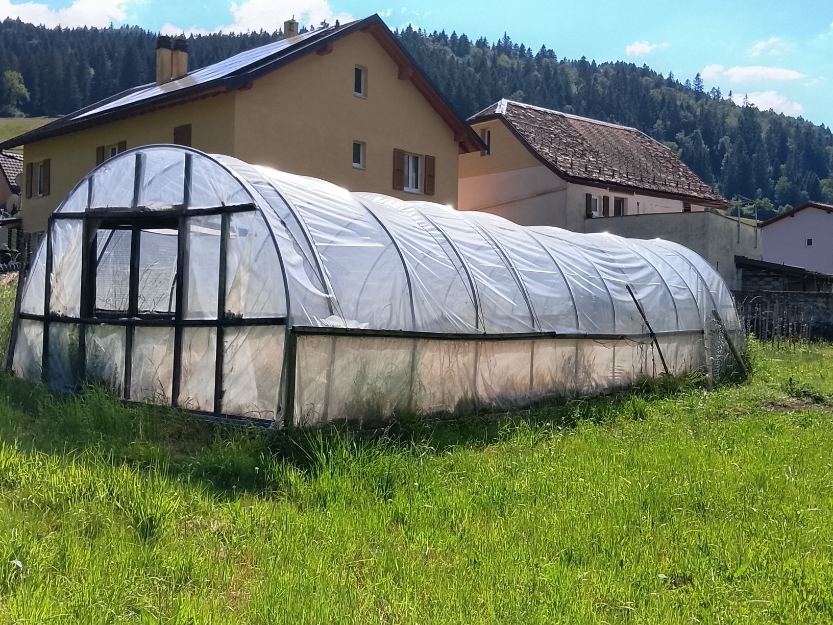 Serre jardin 11m x 3.50m x 2.20m, plastique bon état (Gebraucht) in ...