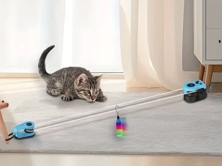 Pet Cat Chasing Toy (Neuf avec emballage d'origine) à Lausanne pour CHF ...