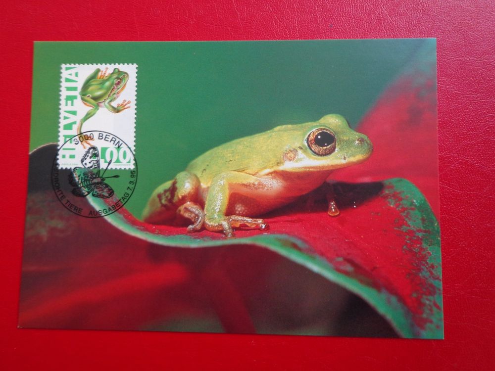Maximumkarte Laubfrosch Tiere grenouille animaux 7.3.1995 | Kaufen auf Ricardo