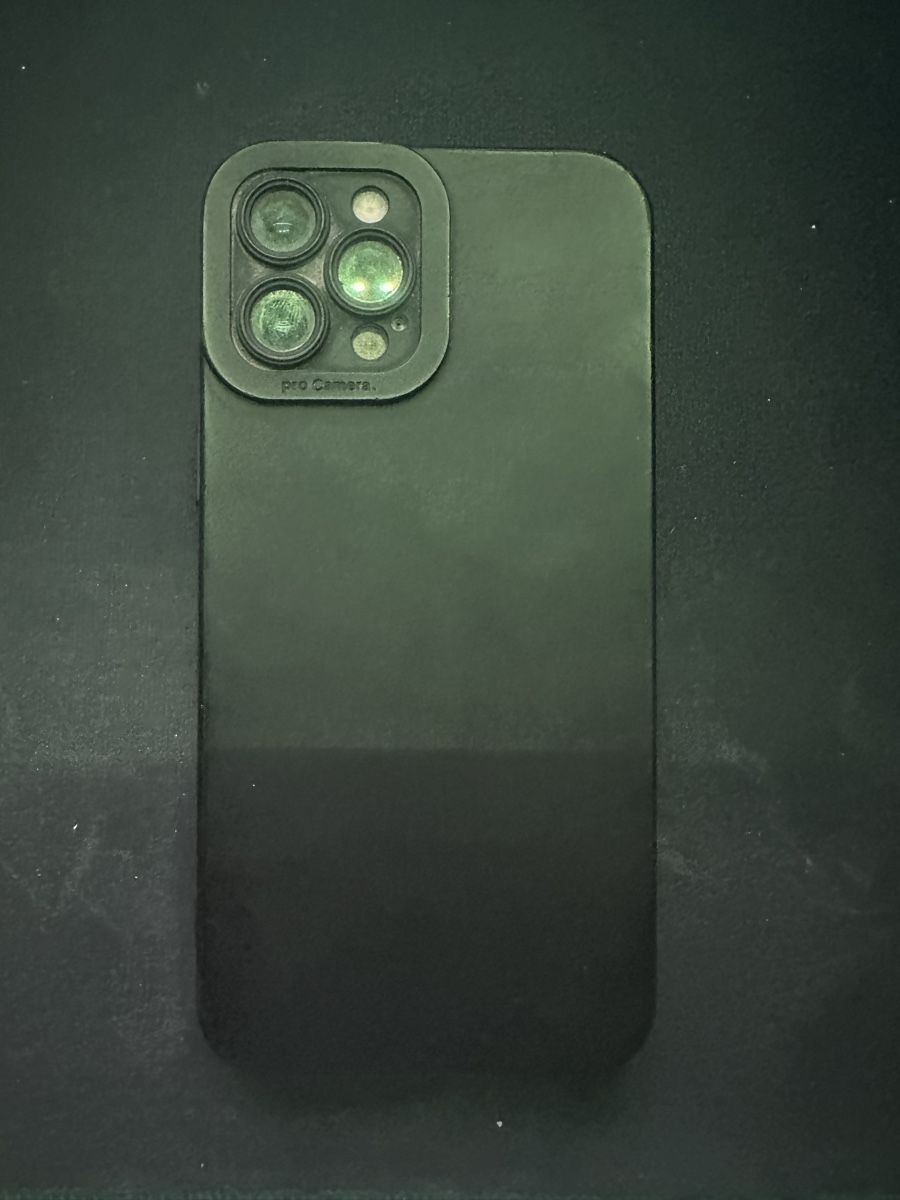 iPhone 12 Pro Max 256GB - Still Working Fine! (Gebraucht) in Rupperswil ...