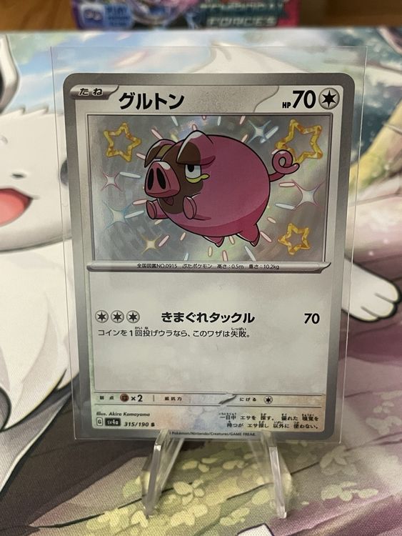 Pokemon JP 315 (Neu (gemäss Beschreibung)) in Bern für CHF 3.5 – mit ...