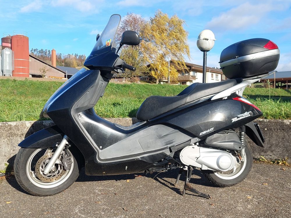 Honda FES 125 Pantheon Roller mit Topcase Servicegepflegt (Gebraucht ...