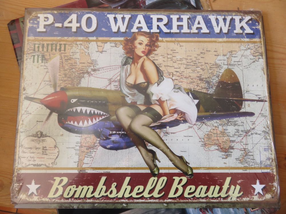 P-40 Warhawk Schild Pin Up (Neu und originalverpackt) in Bussnang für CHF 27 – mit Lieferung auf ...