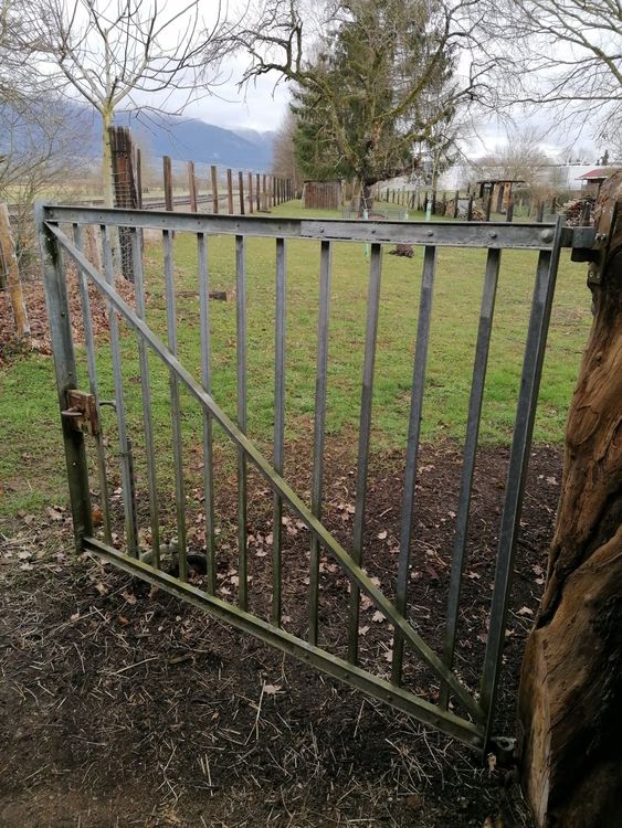 Eisentor, Tor, Gartentor (Gebraucht) in Arch für CHF 21 – nur Abholung auf Ricardo kaufen