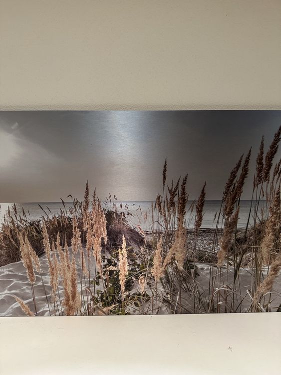 Wandbild Strand Gräser Meer Metallbild modern Deko Bild XXL (Neu (gemäss Beschreibung)) in Bern ...