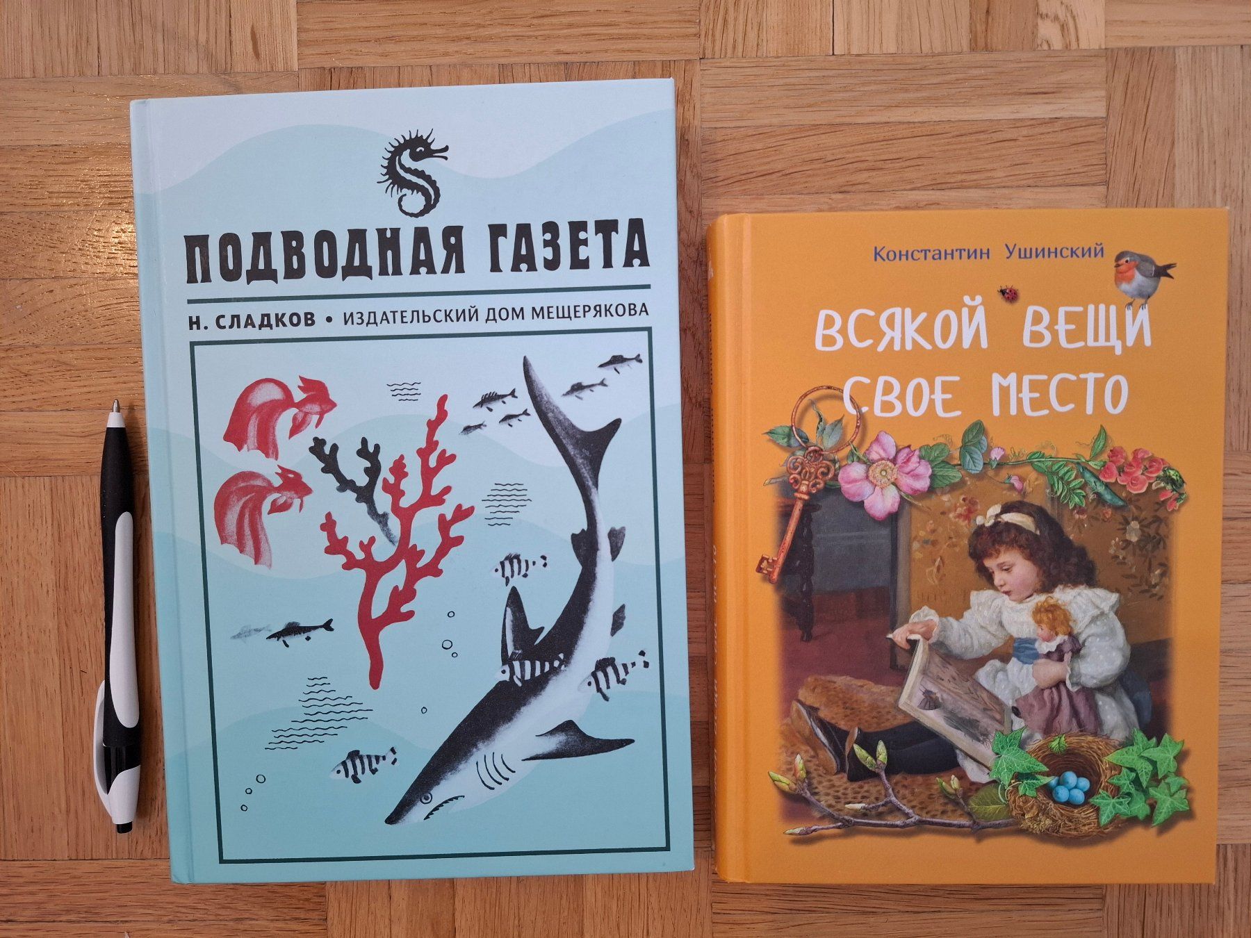 Kinder Bücher auf RUSSISCH / Livres pour enfants en RUSSE (Neuf (Voir ...