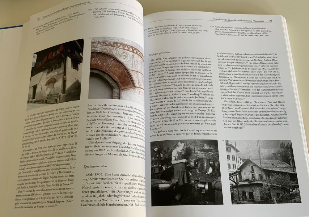 Die Bauernhäuser des Kantons Wallis - Werner Bellwald (Gebraucht) in ...