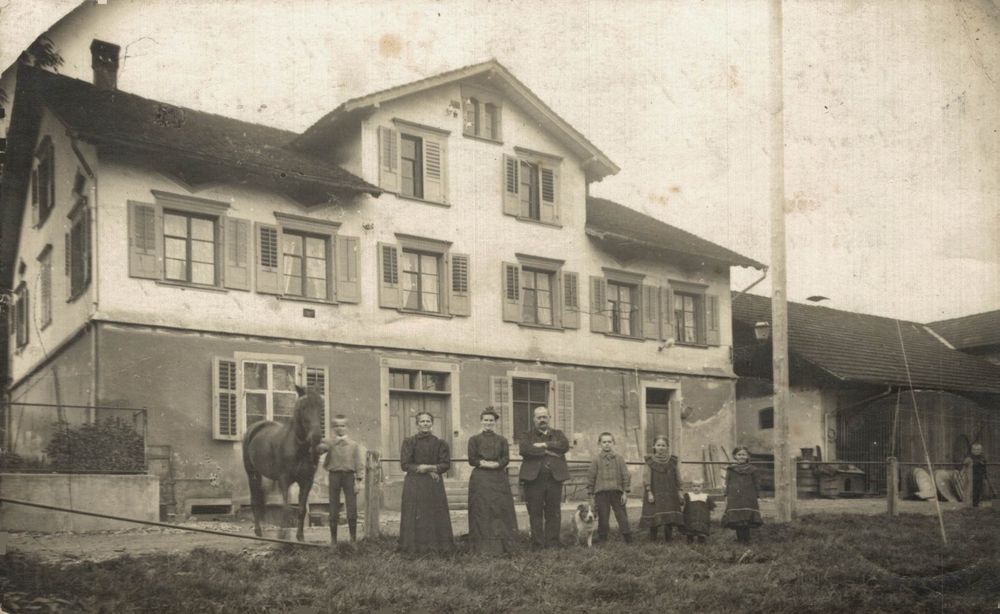 Berg (SG). Bauernhaus mit Bauernfamilie (Gebraucht) in Bronschhofen für CHF 15 – mit Lieferung ...