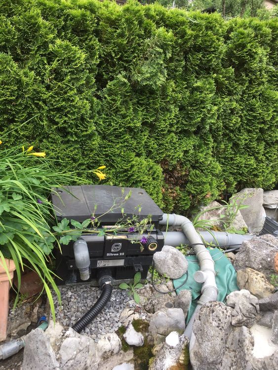 Oase Teichfilter inklusive bitron 25 | Kaufen auf Ricardo