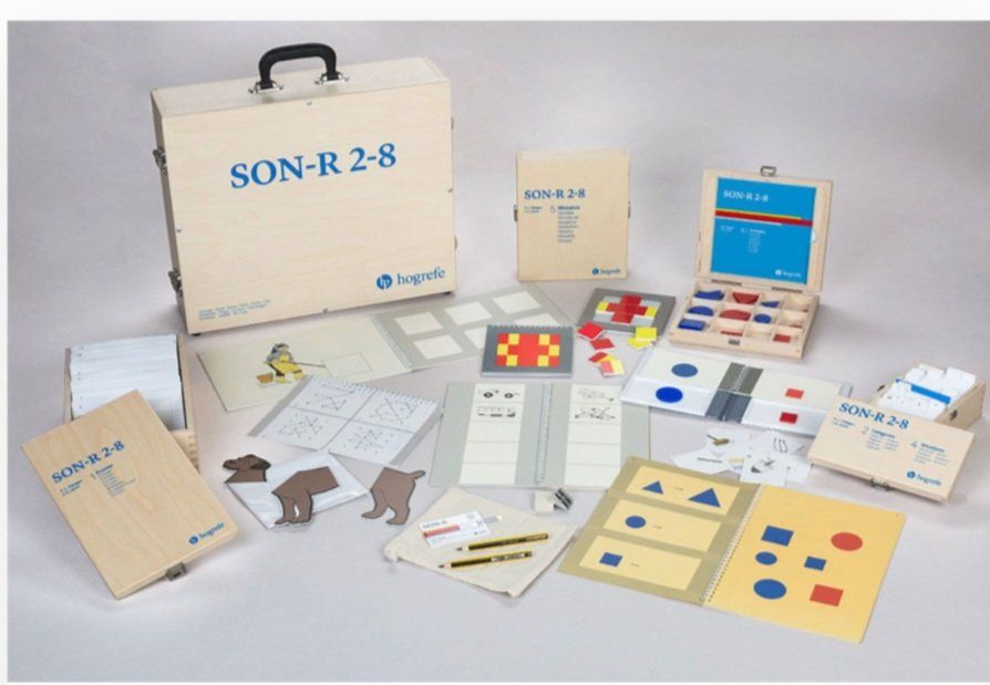Non-verbaler Intelligenztest SON-R 2-8 (Neu (gemäss Beschreibung)) in ...