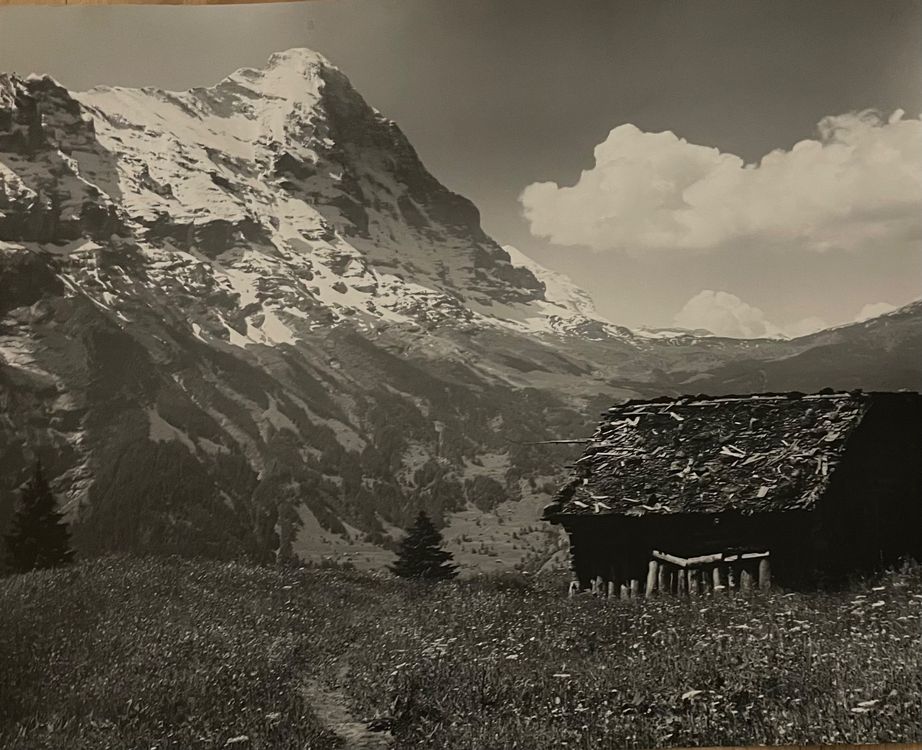 Ernst Henri Schudel (1880-1945) Fotographi mit Stempfel (Gebraucht) in ...