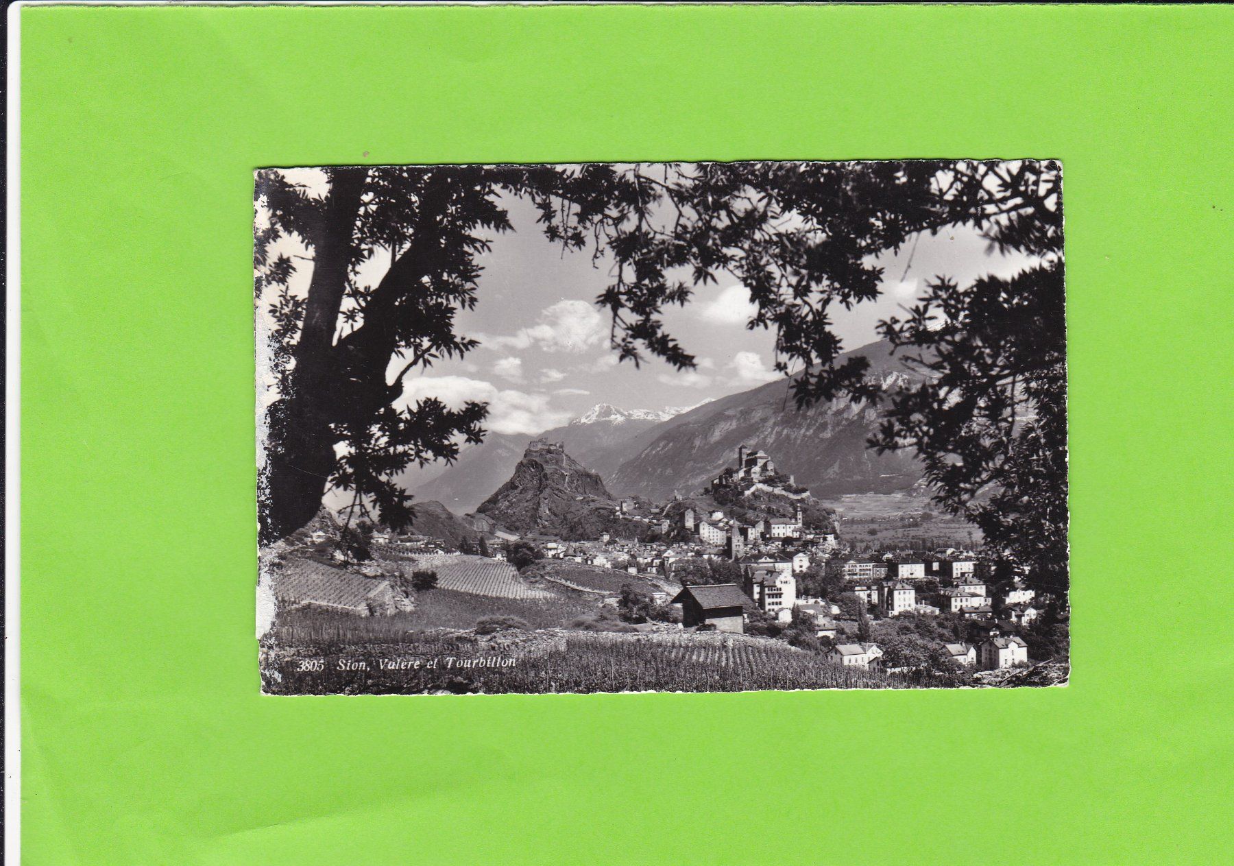 Sion (Gebraucht) in St. Peterzell für CHF 2 – mit Lieferung auf Ricardo kaufen