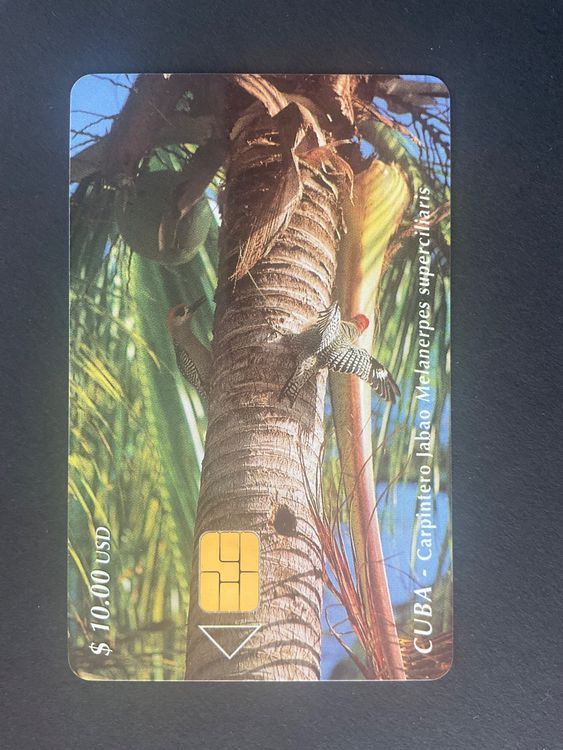 Telefonkarte aus Kuba. Carpintero, Specht (Gebraucht) in Winterthur für ...