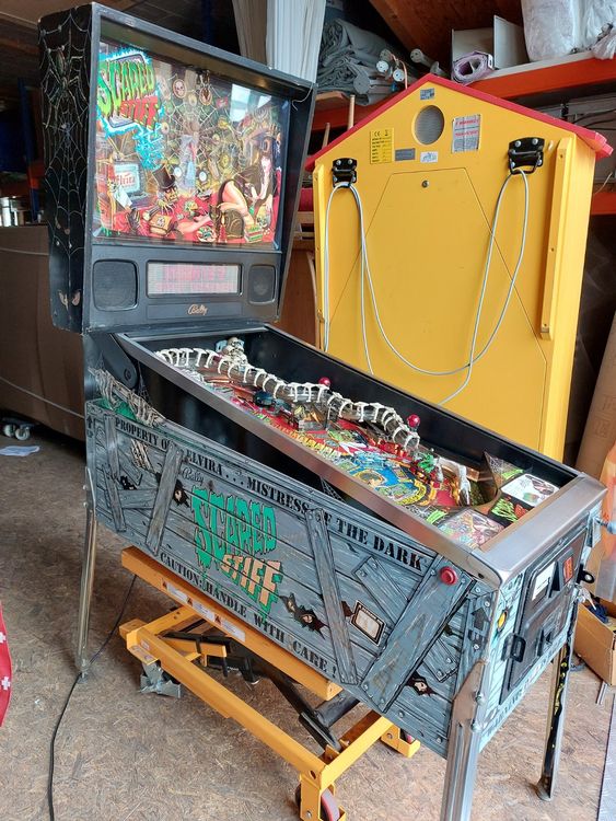 Flipper Scared Stiff (Gebraucht) in Schalunen für CHF 5002 – nur ...