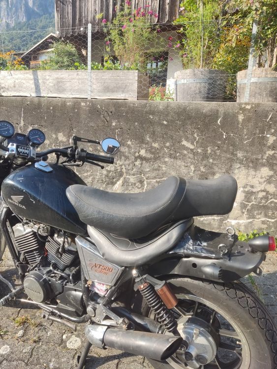 Honda VT500C | Kaufen auf Ricardo