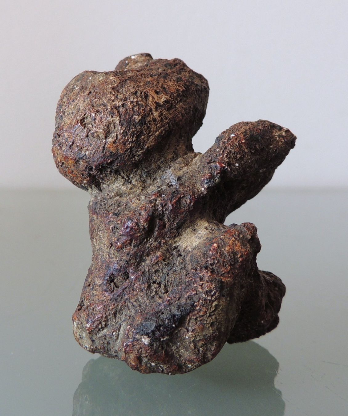 Ancestor Amulett "jimat merapu" Koralle, Sumba, Indonesia (Gebraucht) in Waldenburg für CHF 100 ...