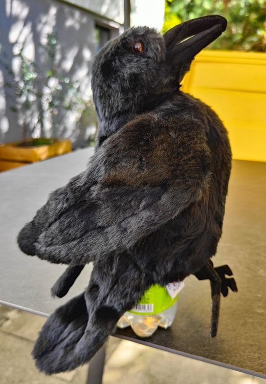 Handpuppe Rabe der Marke Folkmanis (Neu (gemäss Beschreibung)) in ...