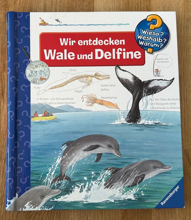 Buch - Wieso Weshalb Warum? Wir entdecken Wale und Delfine (Gebraucht) in Winterthur für CHF 5 ...