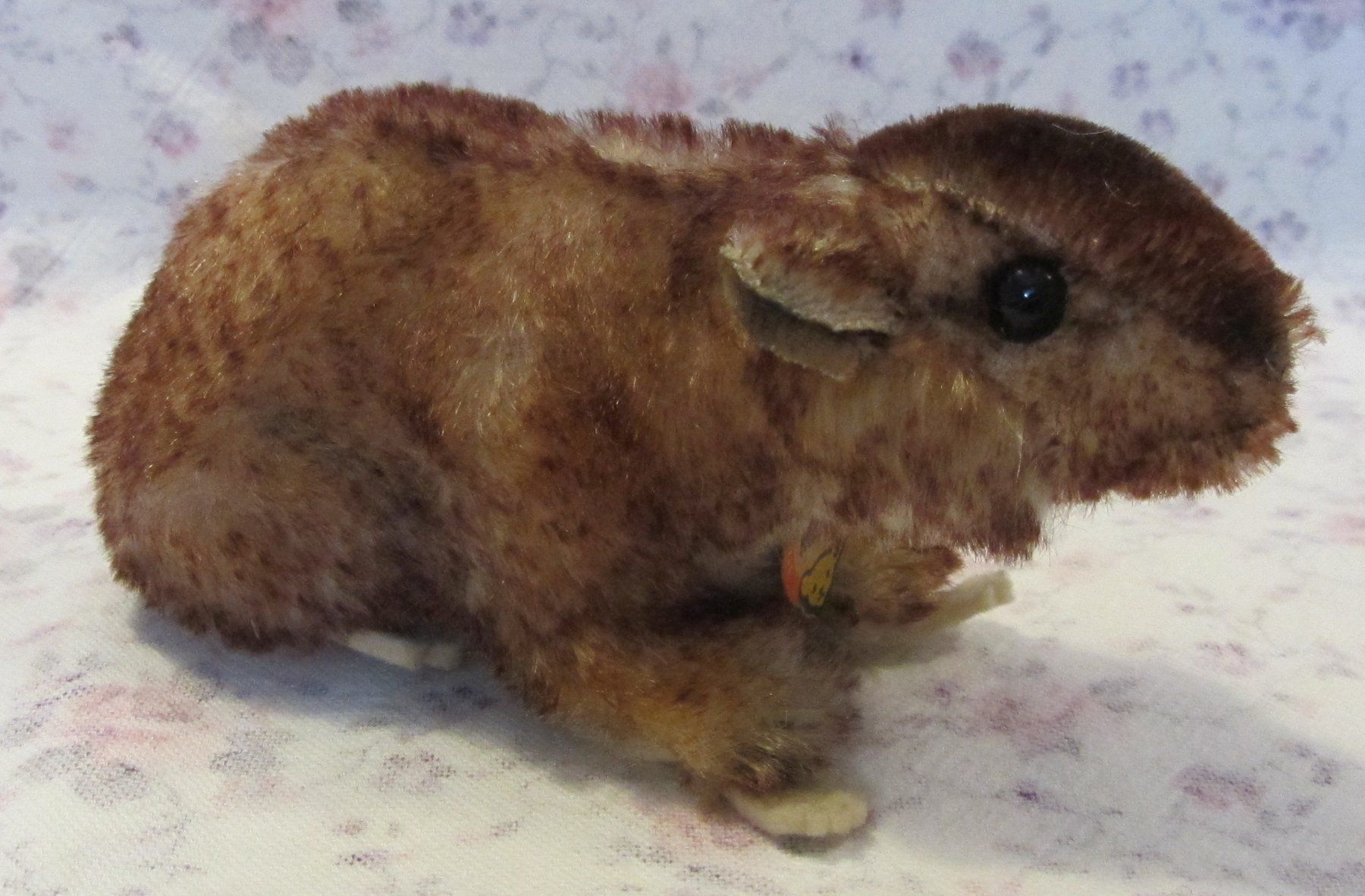 Steiff - Murmeltier Murmy - 1960 - 1962 - 14 cm lang (Gebraucht) in ...