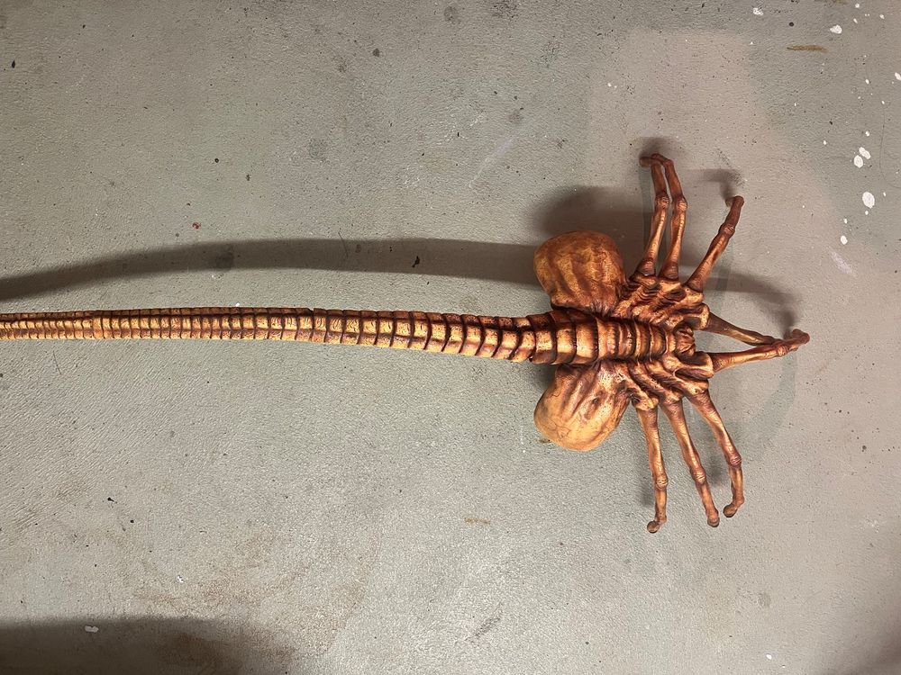 Facehugger Alien, HR Giger, Aliens, Predator Horror (Neu (gemäss ...