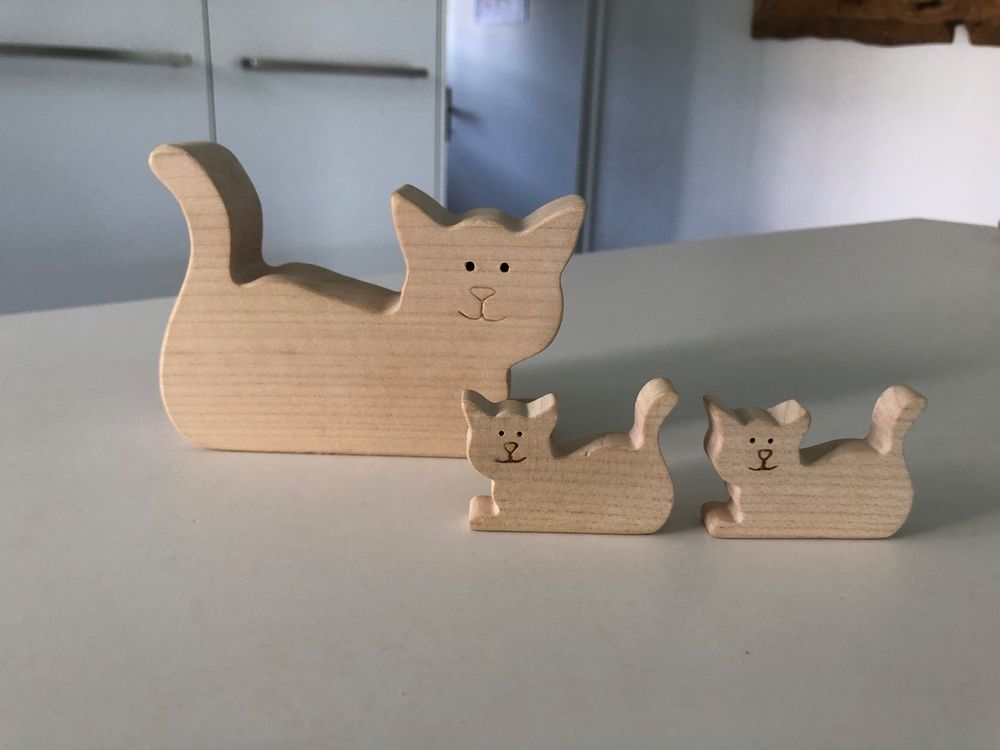 Birkengewachs Mit Katzchen