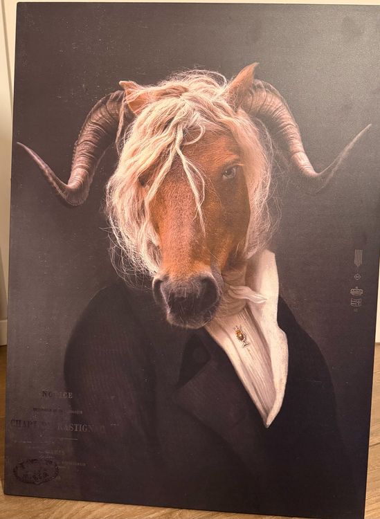 Les Dandys - Rastignac (D'occasion) à Sullens pour CHF 50 – retrait ...