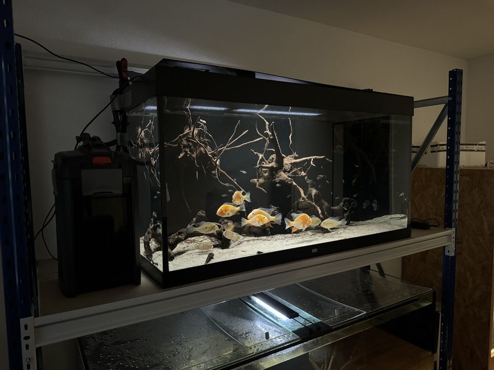 Gebrauchtes Juwel Rio 350 | Kaufen auf Ricardo