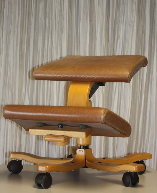 Stokke Varier Wing Balans Leder guter Zustand, mit LIEFERUNG (Gebraucht ...