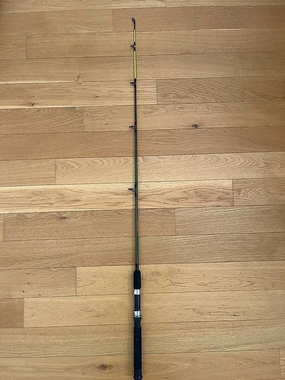 Angelrute Super Flex Boat 431H (Gebraucht) in Dürnten für CHF 15 – nur ...