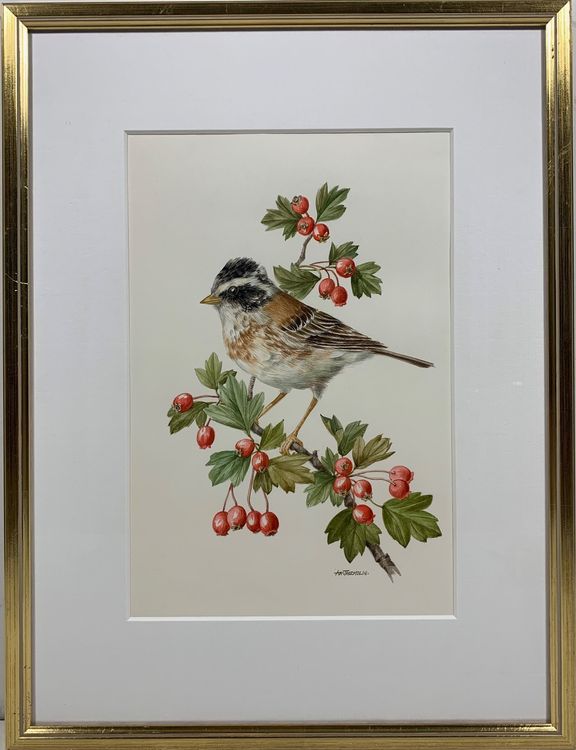 Anne Marie TRECHSLIN (1927-2007) Aquarell | Kaufen auf Ricardo