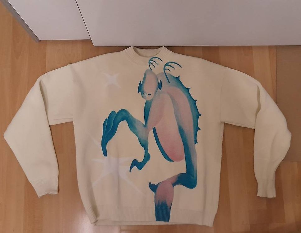 pull/knit amoses (D'occasion) à Cottens FR pour CHF 50 – retrait ...