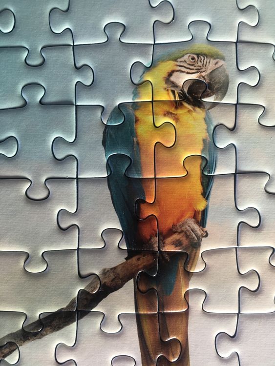 Papagei Puzzle von Ravensburger | Kaufen auf Ricardo