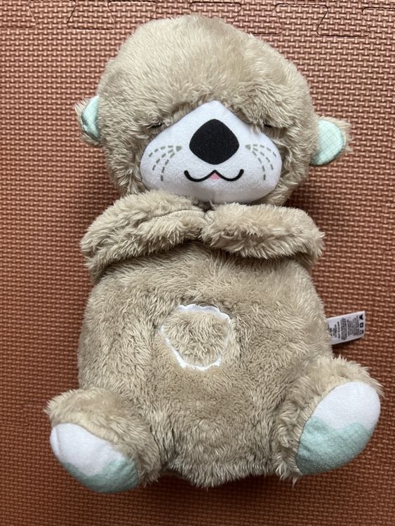 Schlummer Otter fisher-price (Neu (gemäss Beschreibung)) in Zürich für ...