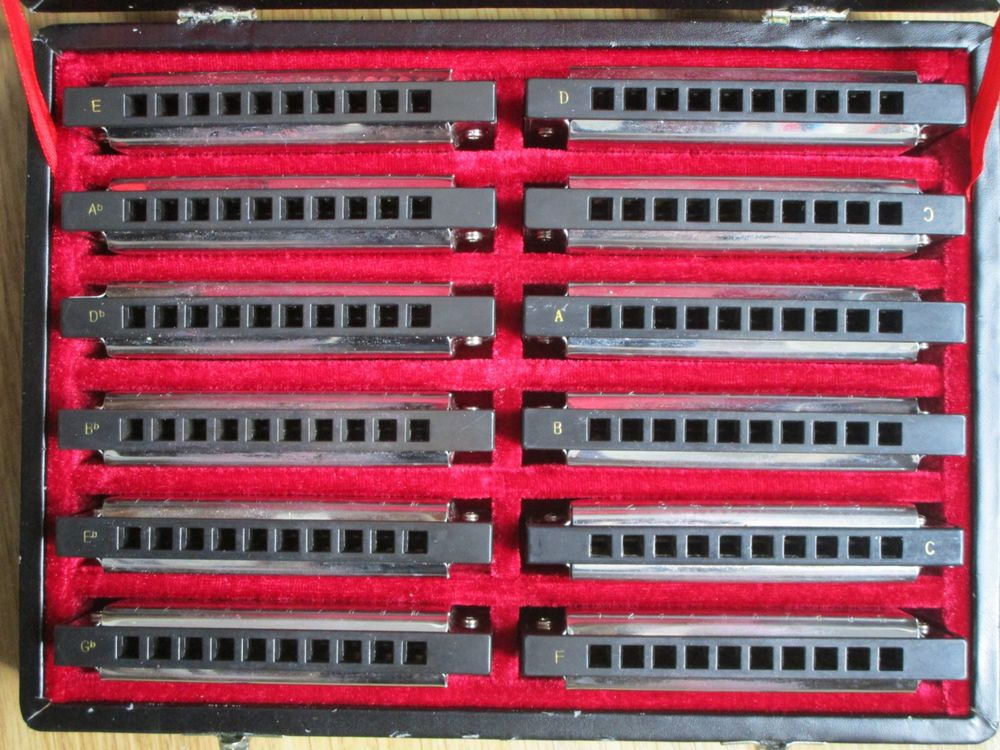 Harley Benton Blues Harp Set 12 Mundharmonikas | Acheter sur Ricardo