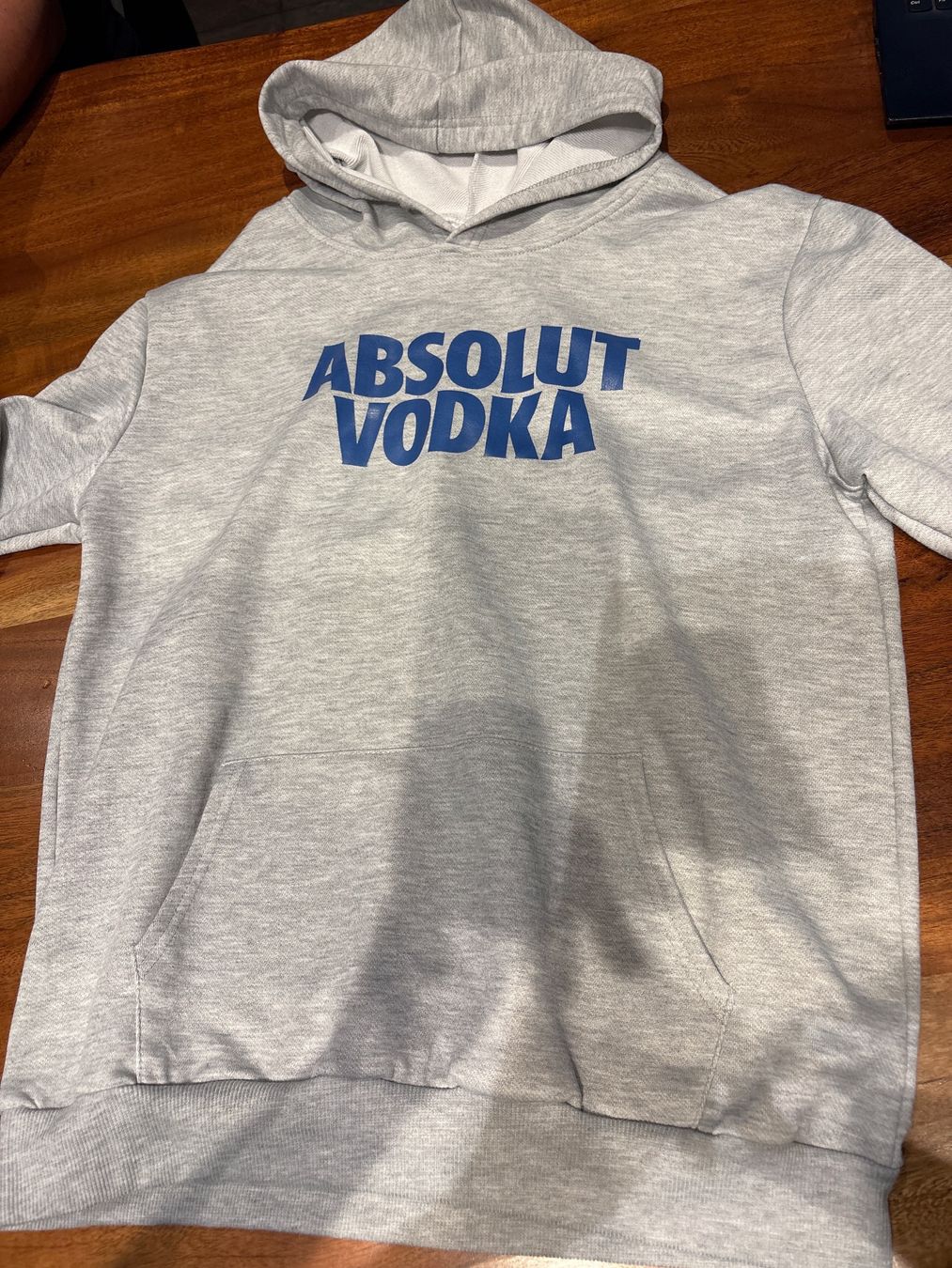 Absolut Vodka Hoodie, Grau, Winter-Look, Top Zustand! (Gebraucht) in ...