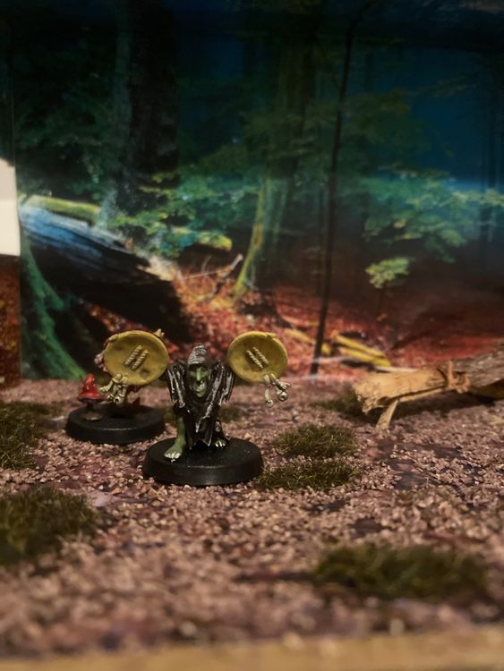 Warhammer Goblin & Squig | Kaufen auf Ricardo