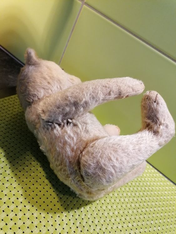 Alter Steiff Teddy mit Knopf 1950 | Kaufen auf Ricardo