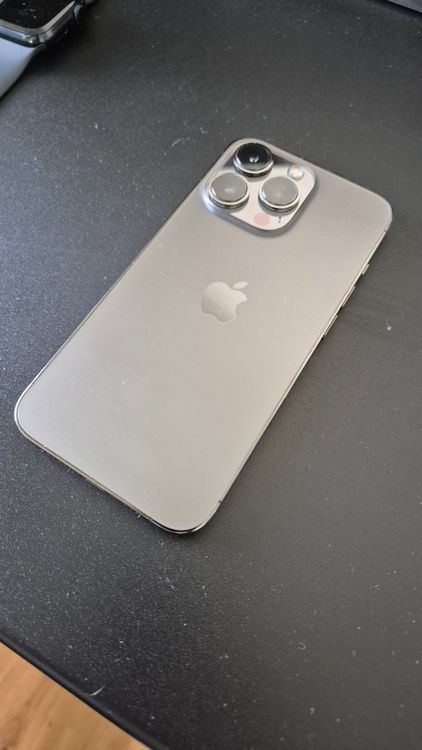 Apple iPhone 13 PRO - 256 GB - GRAPHIT (Gebraucht) in für CHF 370 – mit ...
