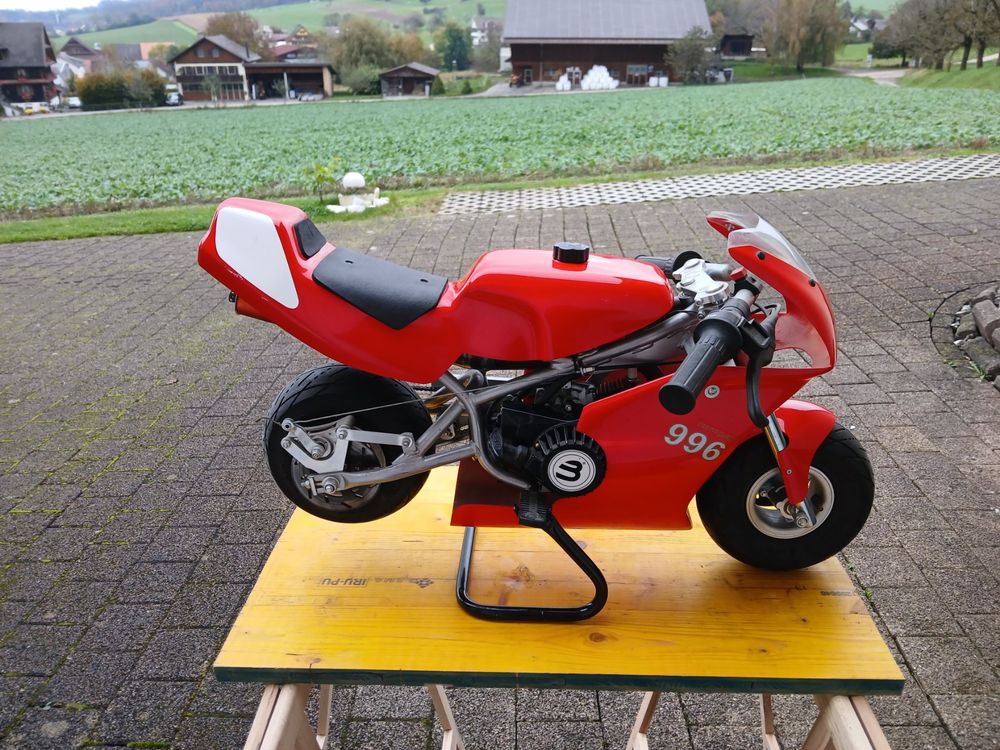 Blata Minibike Ducati Replica Mini Moto (Gebraucht) in Hohenrain für ...