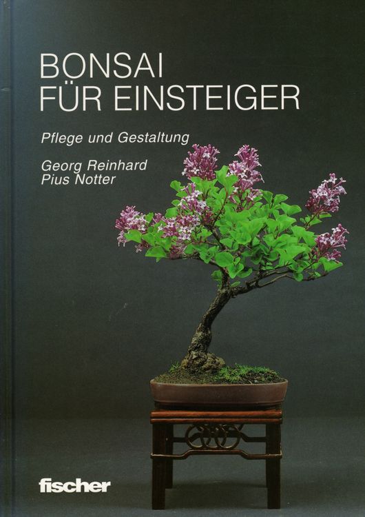 Bonsai Fur Anfanger