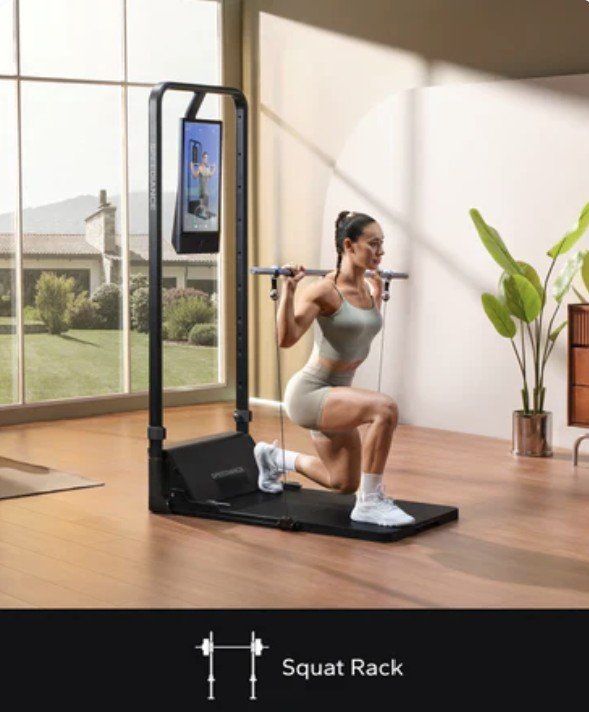 Speediance Gym Monster 2 Family Plus 2.0 wie neu (Neu (gemäss ...