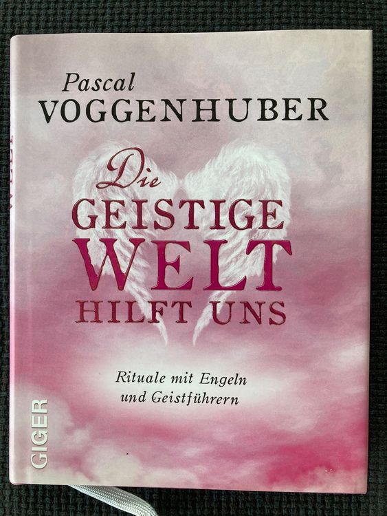 Pascal Voggenhuber, Die geistige Welt hilft uns (Gebraucht) in Baden für CHF 3.8 – mit Lieferung ...