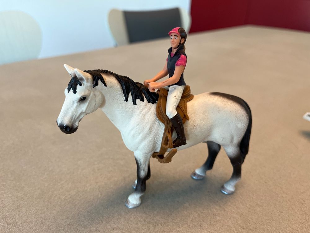 Schleich Pferd mit Sattel und Reiterin (Gebraucht) in Erlinsbach für CHF 3 – mit Lieferung auf ...