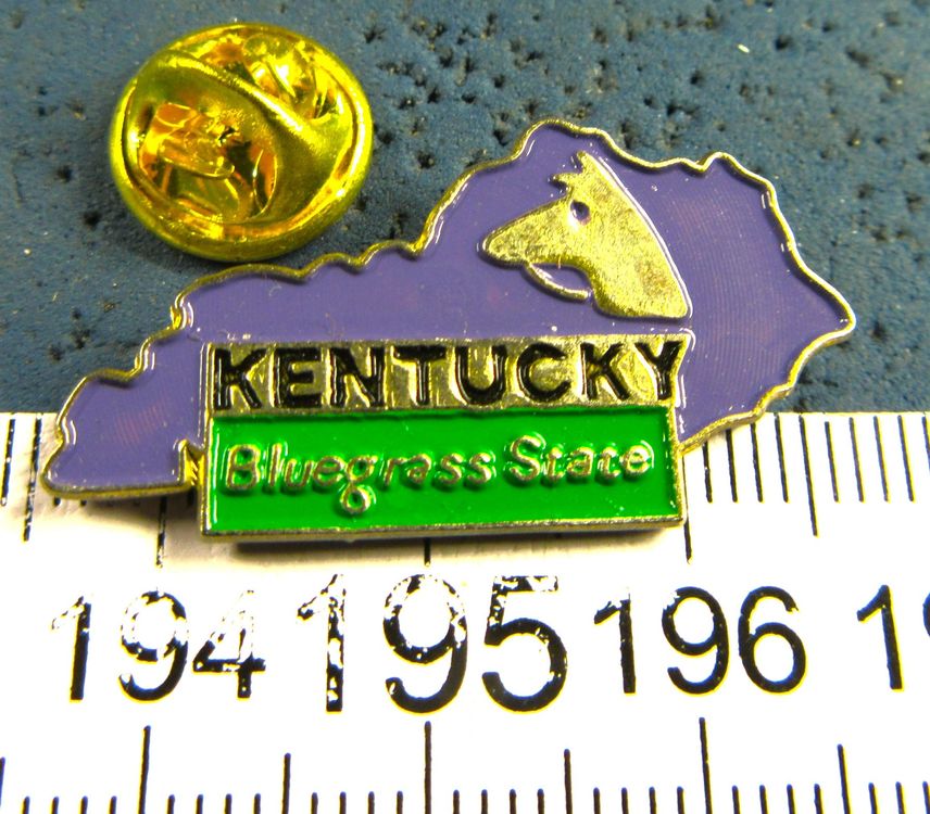 KENTUCKY BLUEGRASS STATE PIN (Gebraucht) in Ettingen für CHF 1 – mit ...