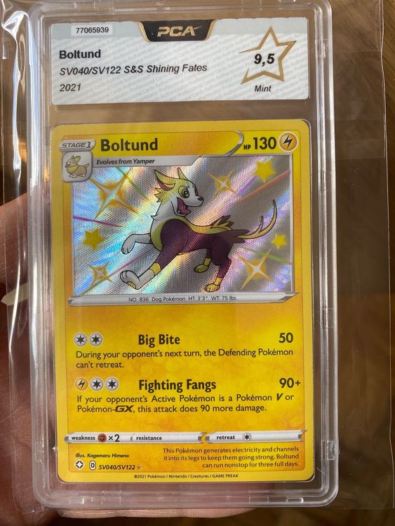 Pokémon Shiny Boltund Graded PCA 9.5 (Neu (gemäss Beschreibung)) in ...