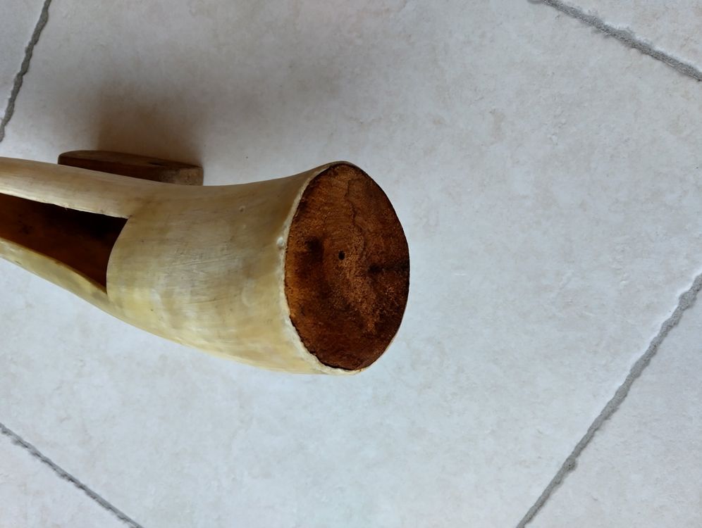 Corne de vache avec compartiment pour y mettre une déco (D'occasion) à ...