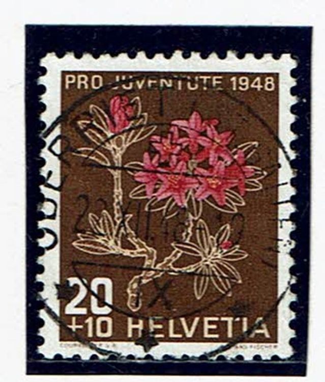 NEID/Pro Ju J127 Vollstempel Oberriet SG (Gebraucht) in Neuchâtel für CHF 13 – mit Lieferung auf ...